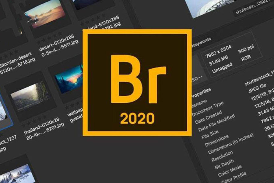 Instructions for Downloading and Installing Adobe Bridge 2020 MacOS for Free - Adobe's professional